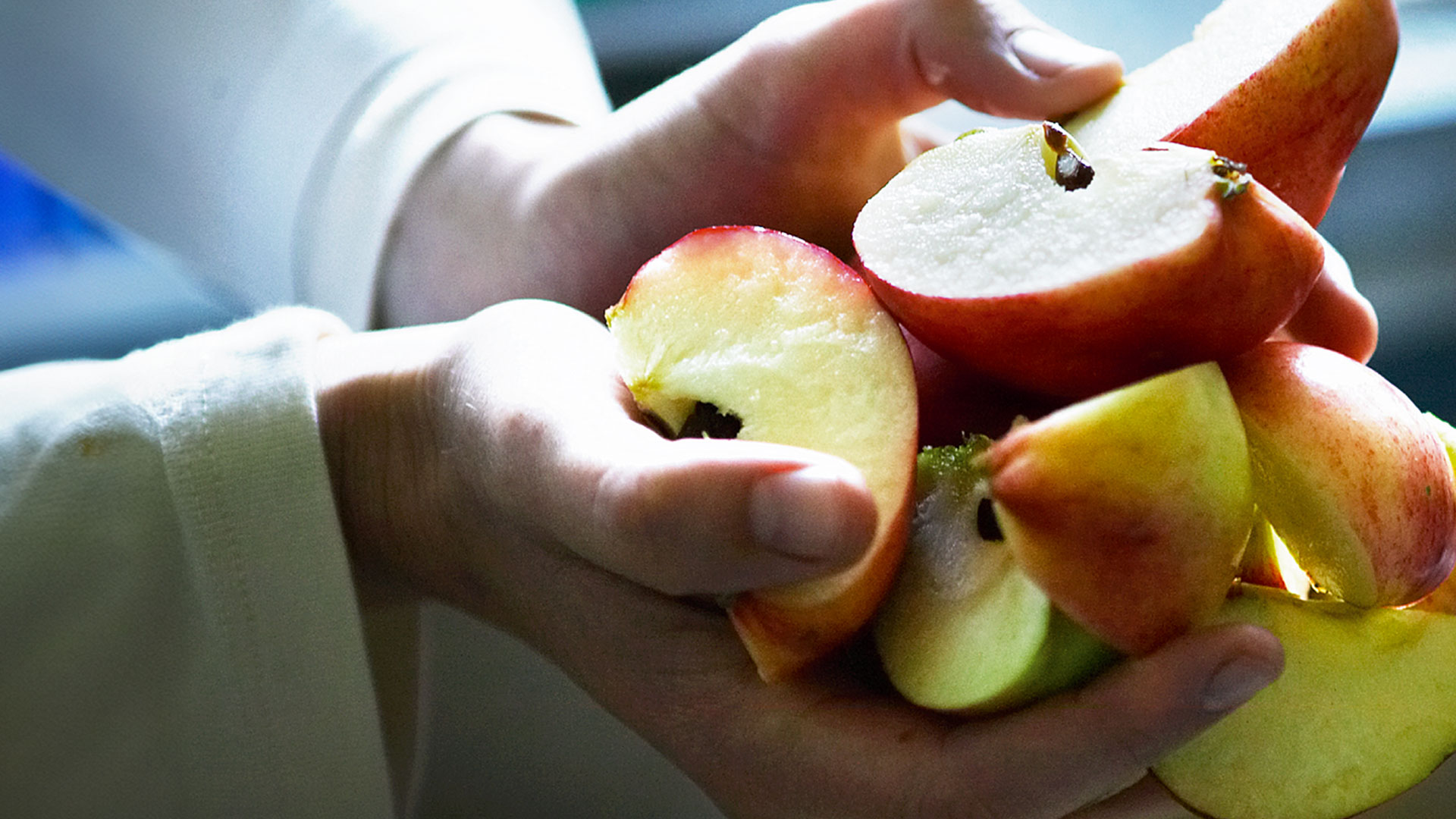 Se formiddagsprogram for konference om Sundhedsfremme og Sygdomsforebyggelse