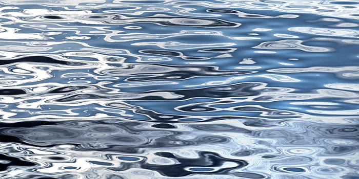 Less water from sea or field to plate - DTU National Food Institute