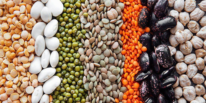Master of Sustainable and Safe Food Production