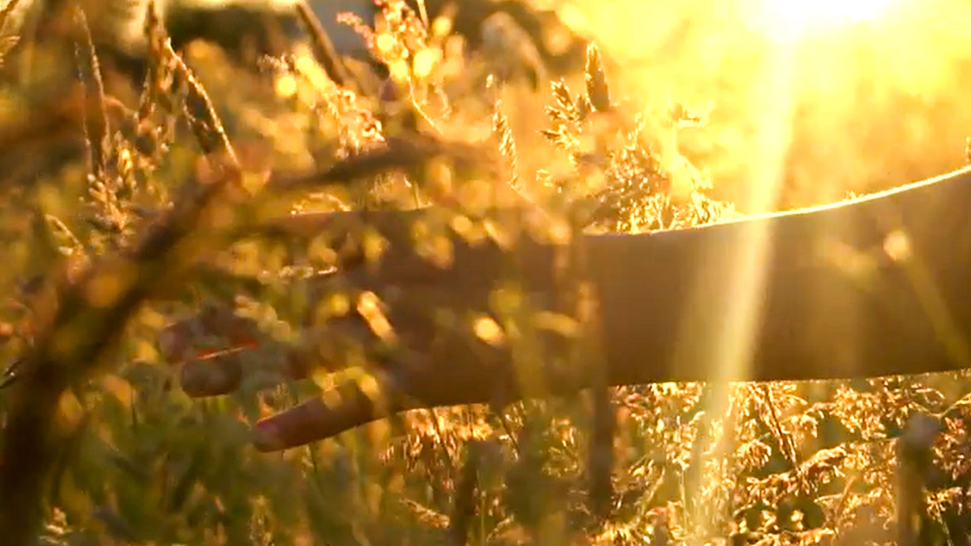 Highlights from the first half of 2025 at DTU National Food Institute